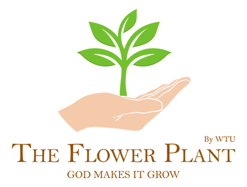 Choosing Plants for Water Conservation – theflowerplant.com